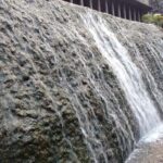 Delhi: Chandigarh 3-Day Tour with Hotel and Transfers - Day 1: A Mix of Nature and Art in the Heart of the City