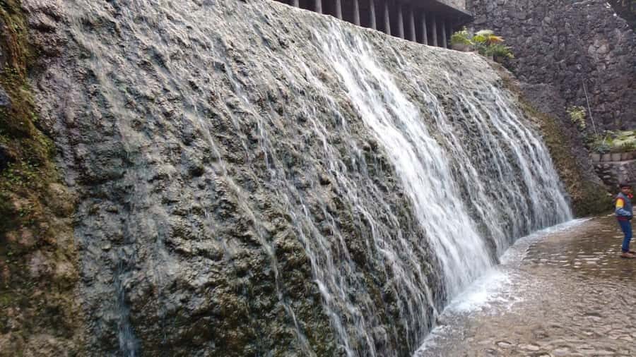 Delhi: Chandigarh 3-Day Tour with Hotel and Transfers - Day 1: A Mix of Nature and Art in the Heart of the City