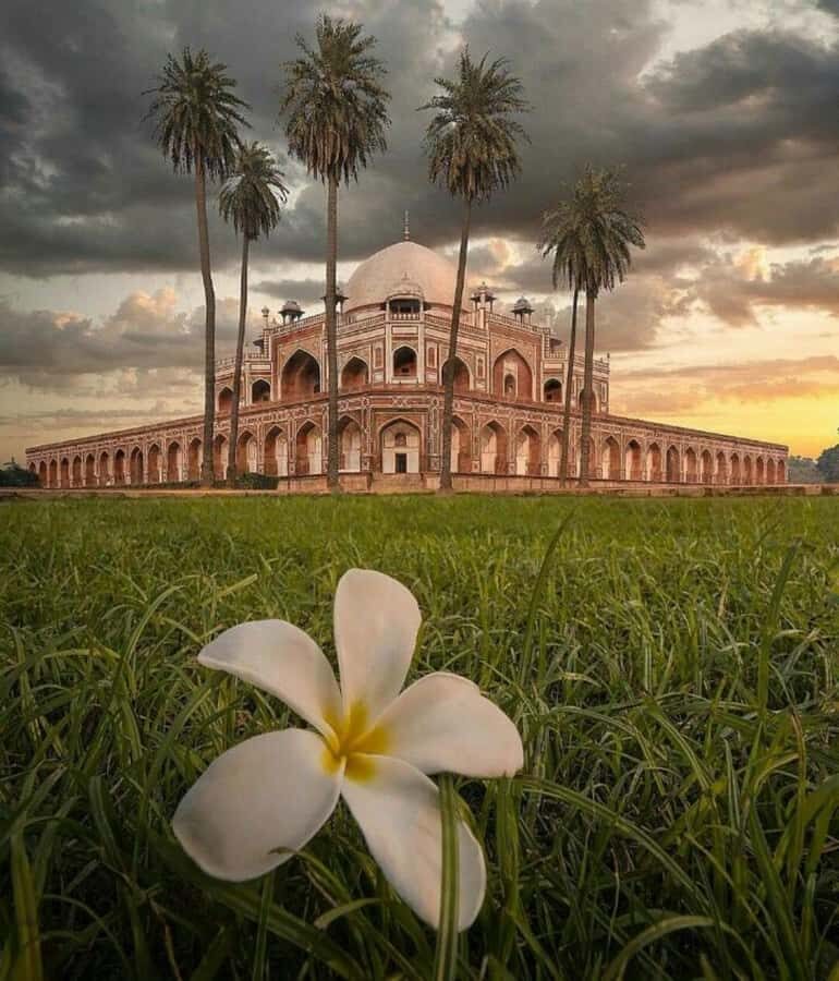 Delhi in One Day: Private Old & New Delhi with Local Stories - Who Should Consider This Tour?