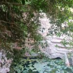 Delhi: Northern Ridge Walk with Tibetan Colony Tour - A Closer Look at the Tour’s Highlights