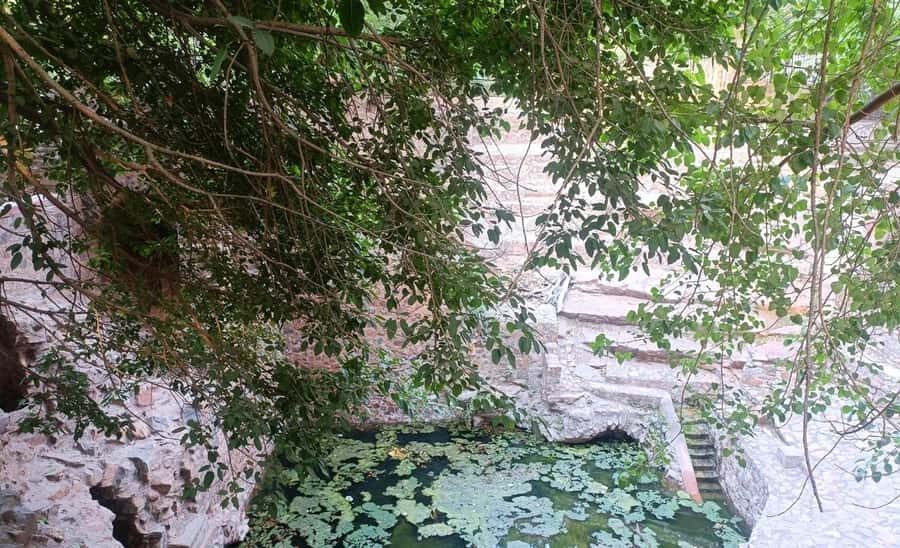 Delhi: Northern Ridge Walk with Tibetan Colony Tour - A Closer Look at the Tour’s Highlights