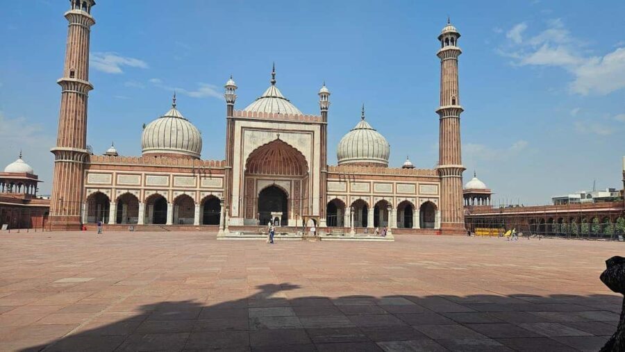 Delhi: Private Old and New Delhi Day Trip with Guide - Who Will Love This Tour?