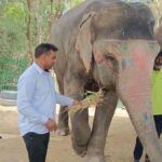 Delhi : Private Taj Mahal with Elephant Sanctuary Tours - Visiting the Taj Mahal: The World’s Most Famous Symbol of Love