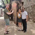Delhi: Taj Mahal Sunrise Tour with Elephant Conservation - Dining and Rest Breaks