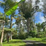 Deluxe Coffee Culture Tour from Berry to Brew in 60 Minutes - An In-Depth Look at the Coffee Tour