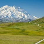 Denali in a Day  Full-Day Sightseeing Tour - Why It Works for Certain Travelers