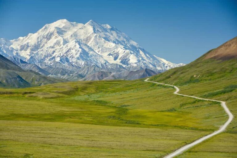 Denali in a Day  Full-Day Sightseeing Tour - Why It Works for Certain Travelers