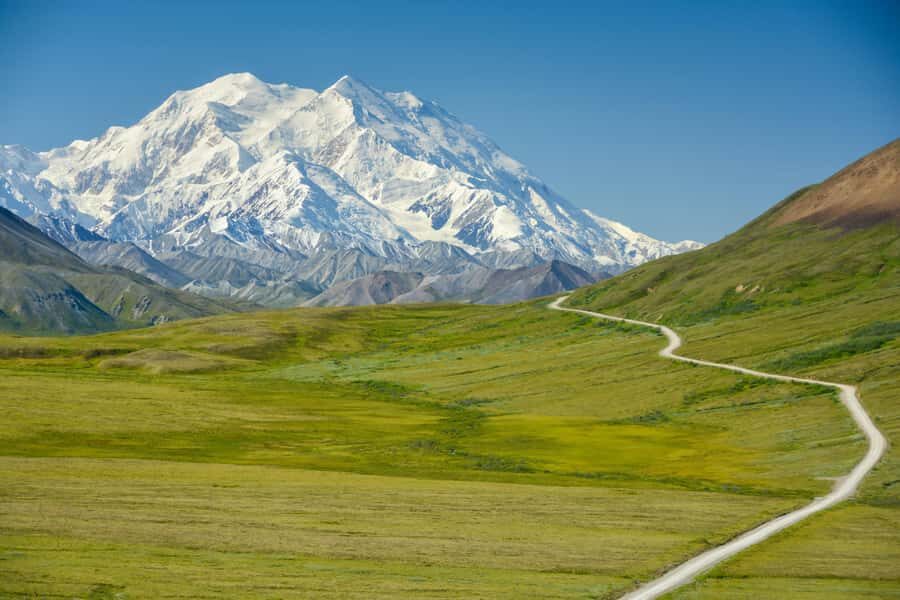 Denali in a Day Full-Day Sightseeing Tour - Why It Works for Certain Travelers