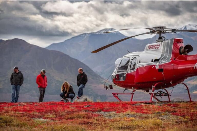 Denali National Park: Helicopter Ride over the Alaska Range - The Flight: Soaring Over Mountain Majesty