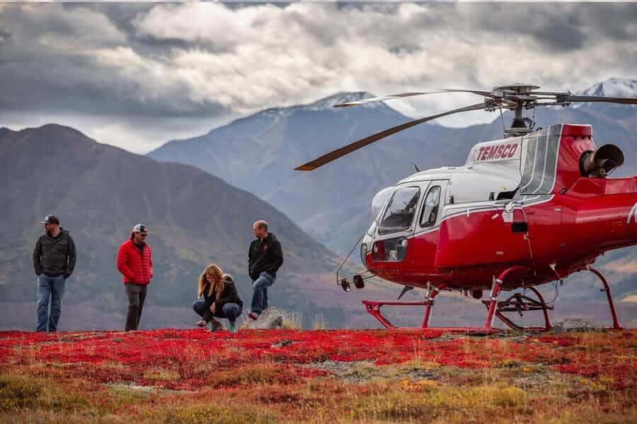 Denali National Park: Helicopter Ride over the Alaska Range - The Flight: Soaring Over Mountain Majesty