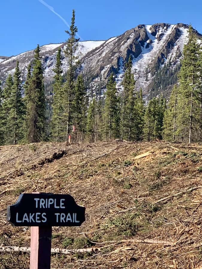 Denali National Park: Triple Lakes Trail Guided Hike - Who Should Consider This Tour?
