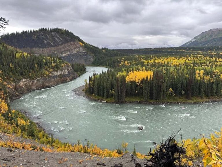 Denali: Nenana River Trail Guided Hike with Pickup - The Practical Details