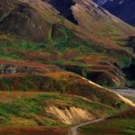 Denali: Rock Creek Trail Guided Evening Hike with Pickup - Who Would Enjoy This Tour the Most?