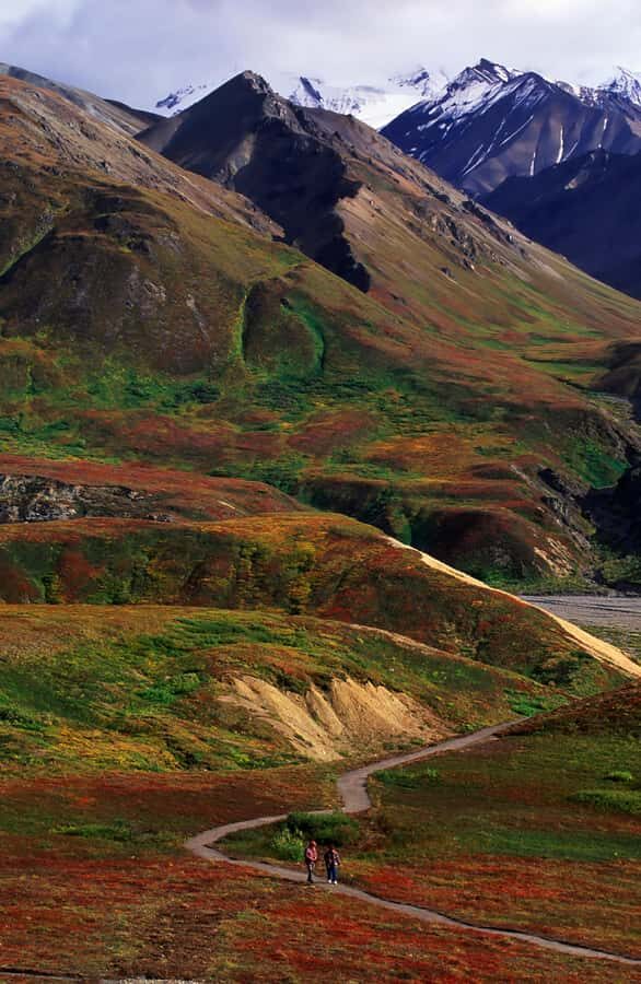 Denali: Rock Creek Trail Guided Evening Hike with Pickup - Who Would Enjoy This Tour the Most?