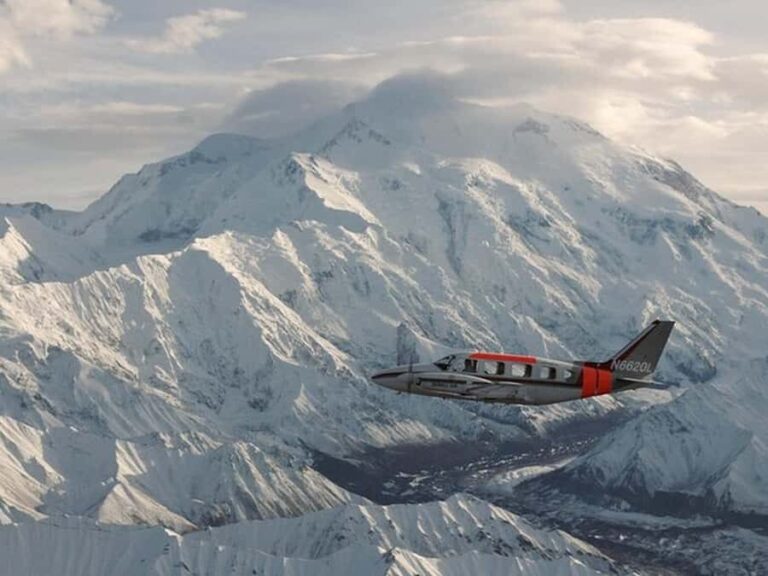 Denali: Scenic Flightseeing Tour Over Denali National Park - Who Will Love This Tour?