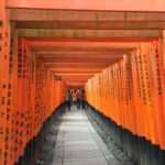 Depart from Kyoto Station: Morning E-Bike Tour with Kyotoite - Is This Tour Worth It?