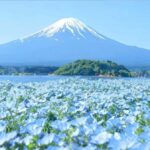 Departure from Tokyo: Mount Fuji  A Day of Encounters - An In-Depth Look at the Tour Itinerary