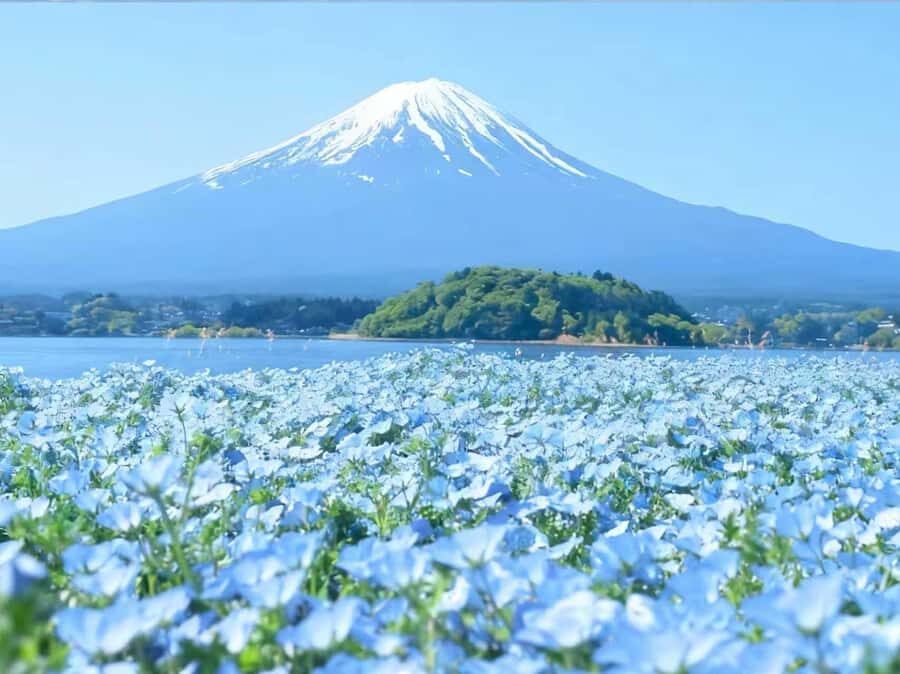 Departure from Tokyo: Mount Fuji  A Day of Encounters - An In-Depth Look at the Tour Itinerary