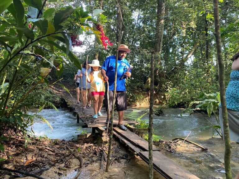 Desde Palenque: Rafting, Caminata en Selva Y Bonampak - Exploring Lacanja Chansayab and the Lacandon Jungle