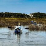 Destin: Clear Kayak Eco Tour with Island Stops - What to Expect on the Tour