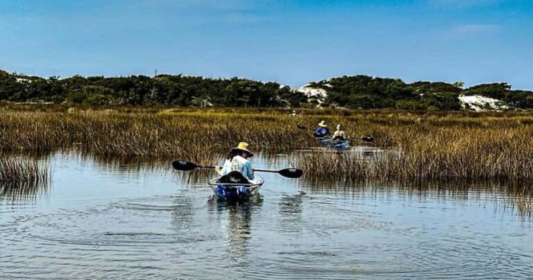 Destin: Clear Kayak Eco Tour with Island Stops - What to Expect on the Tour