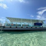 Destin: Crab Island Explorer Boat Tour with Paddleboards - Who Will Love This Tour?