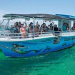 Destin: Crab Island Swim Trip Aboard The Crab Island Runner - Meeting Point & Practical Details