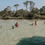 Destin Shelling and Dolphin Adventure - Who Will Enjoy This Tour?
