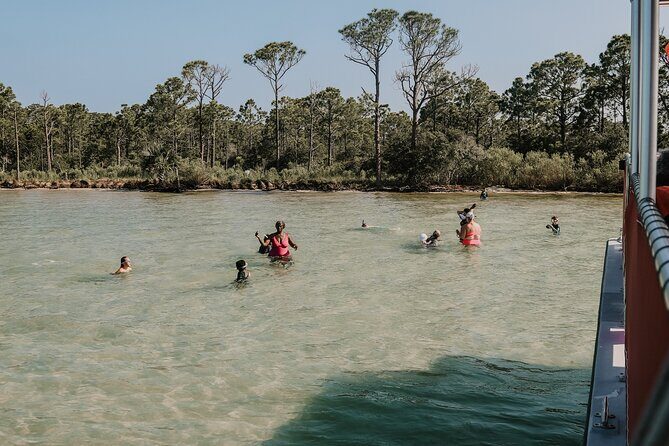 Destin Shelling and Dolphin Adventure - Who Will Enjoy This Tour?