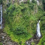 DG Tours - Full-Day Private Tour Experience - Who Should Book This Tour?