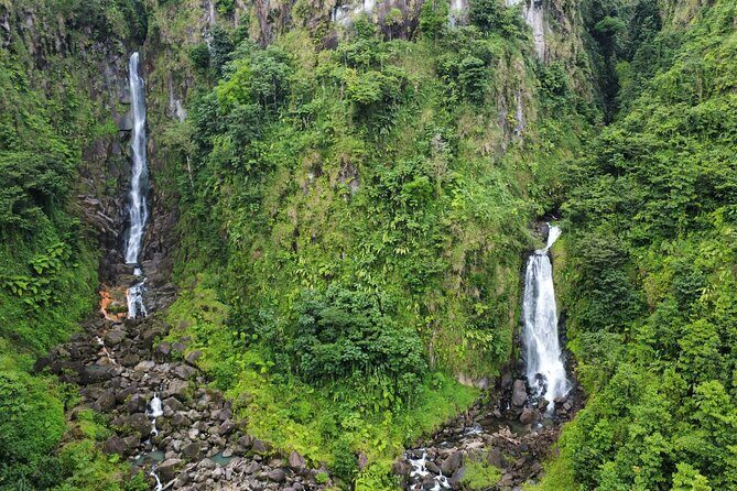 DG Tours - Full-Day Private Tour Experience - Who Should Book This Tour?