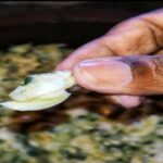 Dig, Discover & Dine  Jaffnas Coastal Clam Experience - The Experience Itself: What We’d Expect