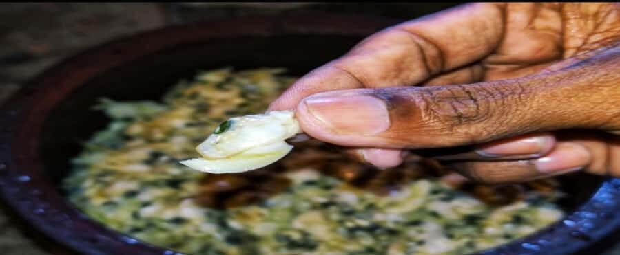 Dig, Discover & Dine Jaffnas Coastal Clam Experience - The Experience Itself: What We’d Expect