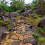 Dimbulagala Eco Trekking and Village Tour From Polonnaruwa - Why Choose This Tour?