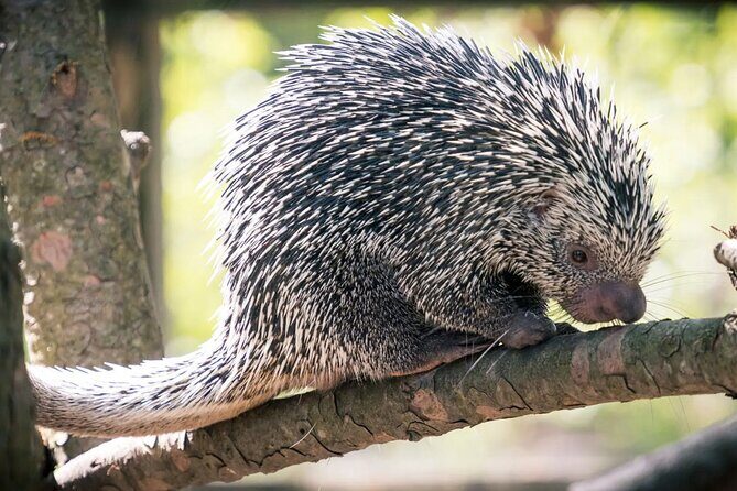Discover Barra de Potosí - A Breakfast with a View