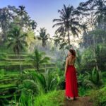 Discover Best of Ubud Day Tour with Private Guide - Practical Aspects and What It Means for You