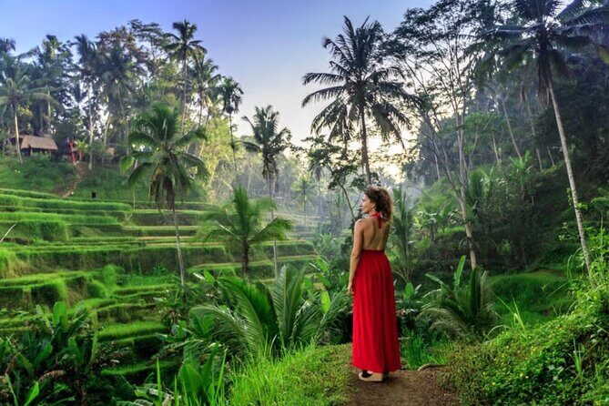 Discover Best of Ubud Day Tour with Private Guide - Practical Aspects and What It Means for You