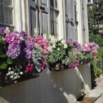 Discover Charleston's History Tour - Who Will Enjoy This Tour?