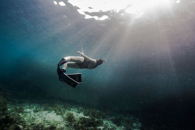 Discover Freediving One Amazing Day - What’s Included and What’s Not