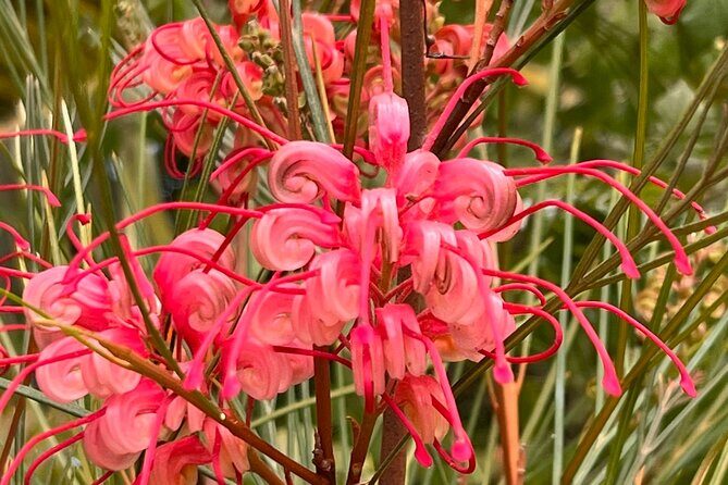 Discover Hidden Stairways & Canyon Paths: Private Urban Adventure - Concluding Thoughts: Who Will Love This Tour?