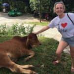 Discover Hue City Highlights by Scooter with Local Guide - The Itinerary: A Well-Curated Journey