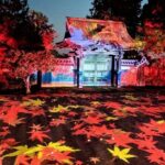 Discover Kyotos Most Magical Night - Who Would Love This Tour?