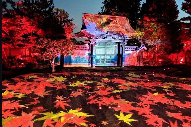 Discover Kyotos Most Magical Night - Who Would Love This Tour?