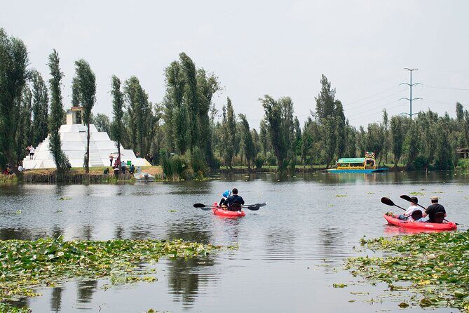 Discover Lake Xochimilco via Kayak Adventure - The Sum Up: Who Is This Tour Best For?