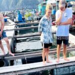 Discover Majestic Lan Ha Bay cruise 3 Days 2 Nights - What’s Included and What Costs Extra