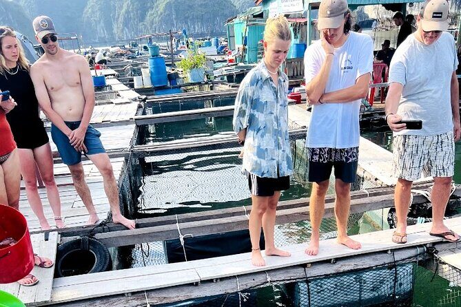 Discover Majestic Lan Ha Bay cruise 3 Days 2 Nights - What’s Included and What Costs Extra