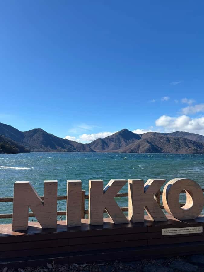 Discover Nikko Full-Day Private Tour from Tokyo - Why This Tour Offers Great Value