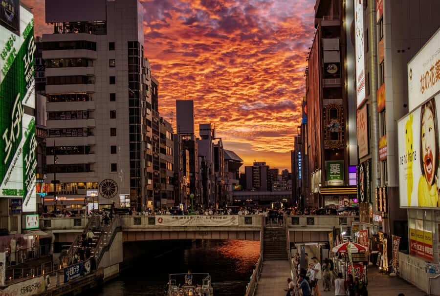 Discover Osaka: A Day of Castles, Culture & City Lights - Why This Tour Offers Great Value