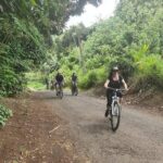 'Discover' Rarotonga Cycling Tour with Lunch - FAQs