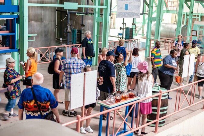 Discover Rum Barbados Tour - Summary: Who Will Love This Tour?